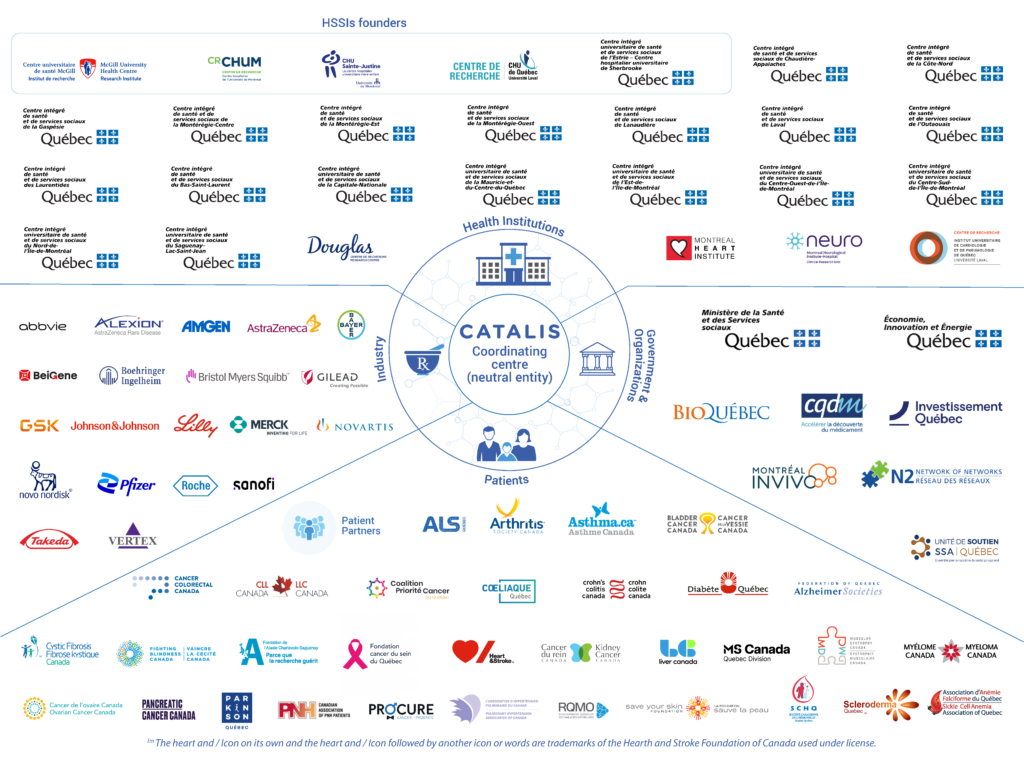 6 New Members Join the CATALIS Network - CATALIS